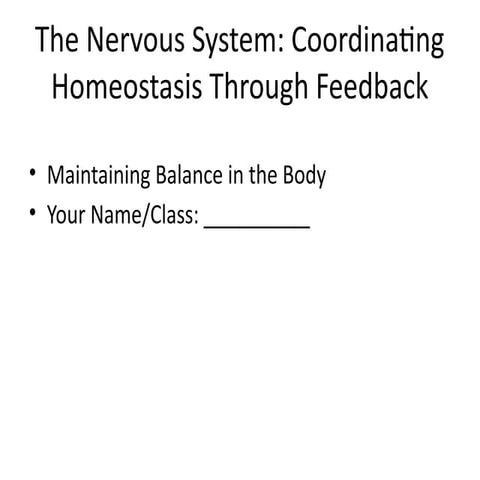 Nervous_System_Homeostasis.pptx its a nerve | PPTX