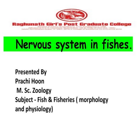 Nervous_System_in_Fishes_ Presentation.pptx .pdf