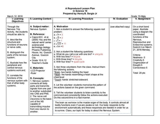 Lesson plan on Nervous system 10 | DOCX | Biological Sciences | Science