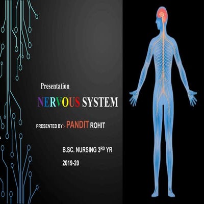 Nervous system.pptx