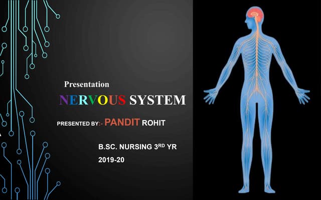 Terminology of Nervous System | PPTX