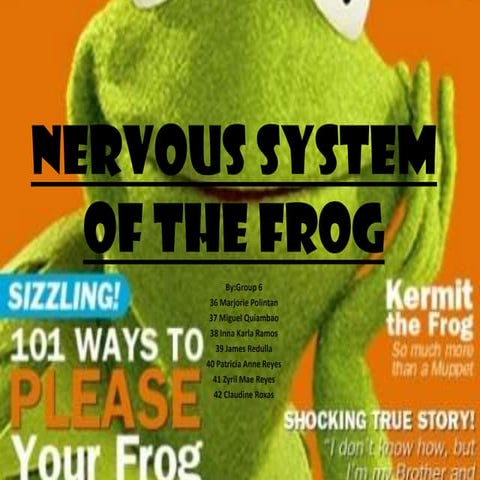 Nervous system of the frog (1) | PPTX