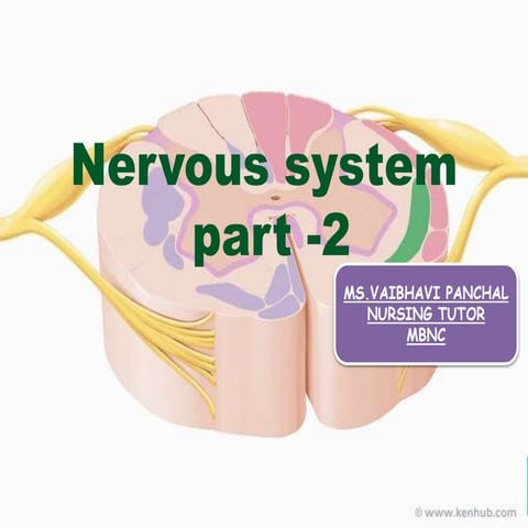Nervous system part 2 | PPTX