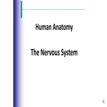 NERVOUS SYSTEM and it's division | PPTX