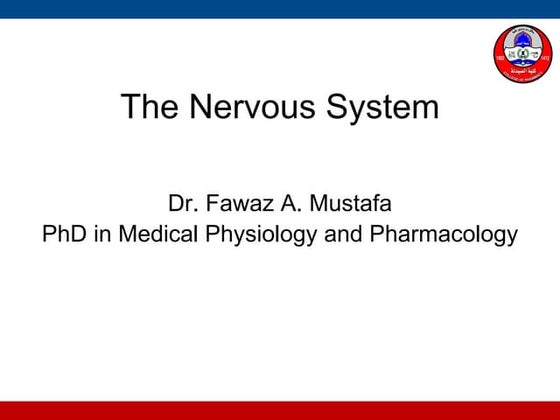Nervous system PPT for grade 10 (basic concepts regarding human nervous ...