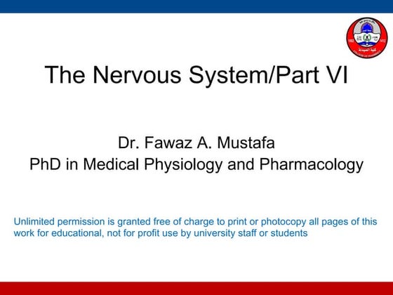 Physiology of equilibrium & balance | PPT | Brain and Nervous System ...