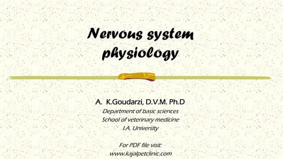 Introduction To Neuroscience | PPT | Brain and Nervous System Disorders ...