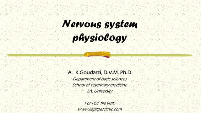 Nervous system of fish; a detailed study | PPTX