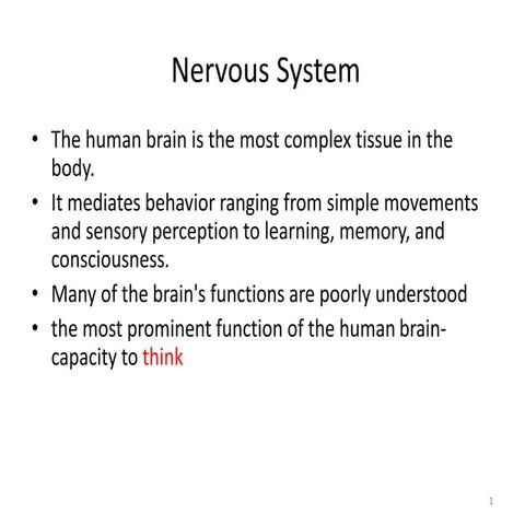 Nervous system ppt.pptx