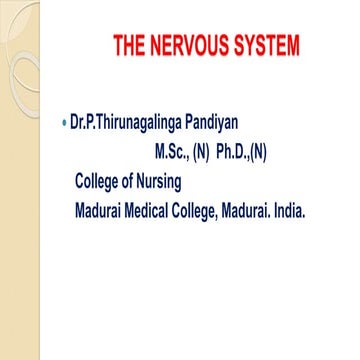 Nervous system ppt.pptx