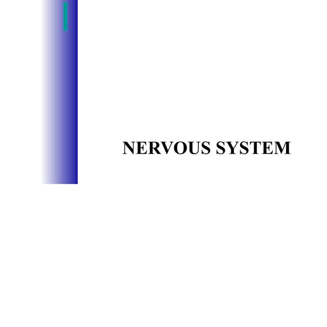 Central nervous system | PPTX