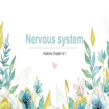 Nervous System Presentation Pptx