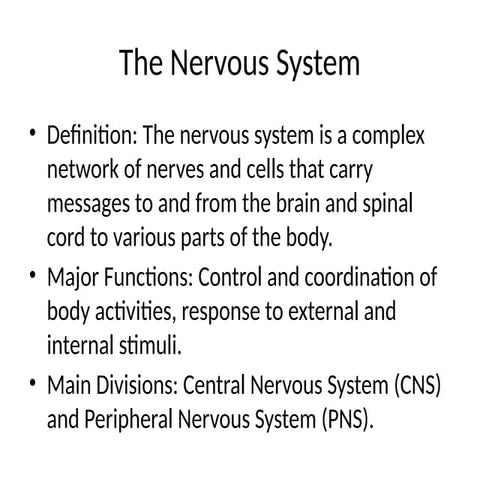 Nervous_System_Presentation_Grade9.pptx tutorial | PPTX