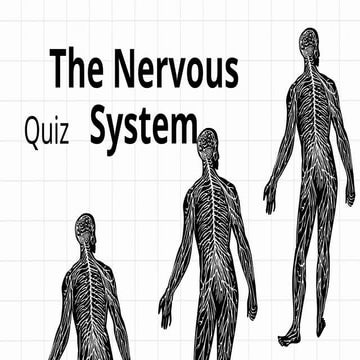 NERVOUS SYSTEM QUIZ PARTS AND FUNCTIONS OF | PPTX