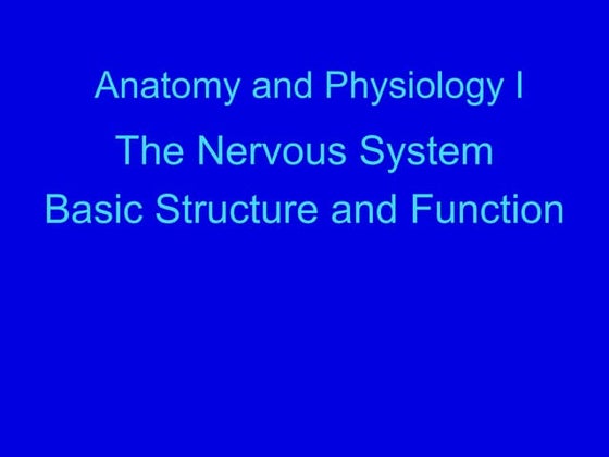Nervous System Structure and Function.ppt