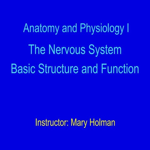Nervous System Structure and Function.ppt