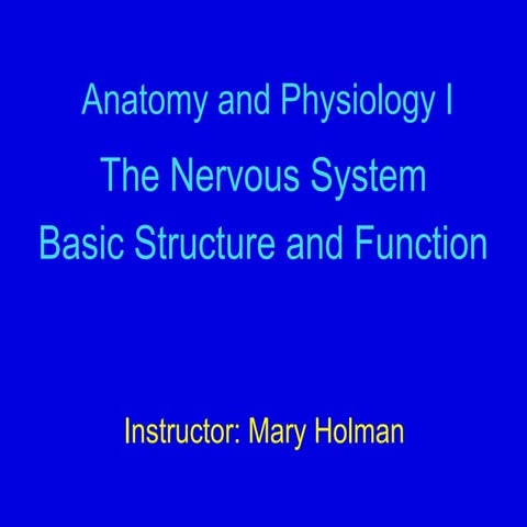 Nervous System Structure and Function.ppt | Free Download