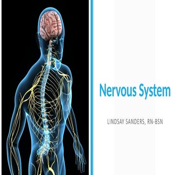 Detailed Lesson Plan: The Nervous System | PDF