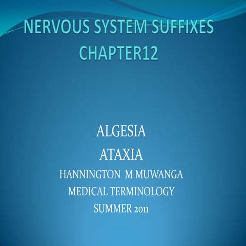 Nervous system suffixes chapter 12 | PPTX