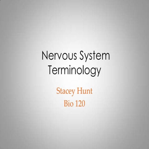 Nervous system terminology | PPTX