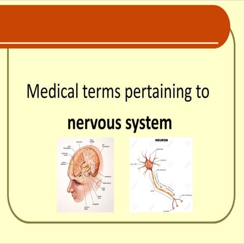 nervous system terminology .pdf