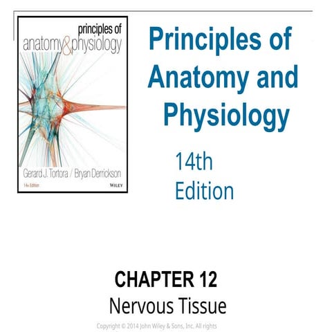Nervous System Tortora Ch.12 (Neurology) | PPTX