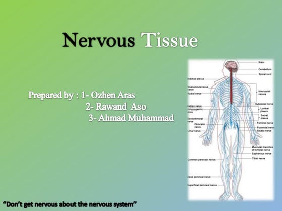 Nervous tissue | PPTX