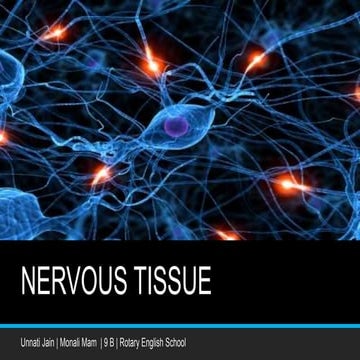 nervous tissue | PPTX