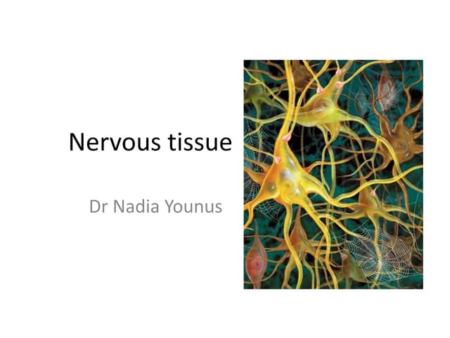 Nervous tissue (Histology) | PPTX