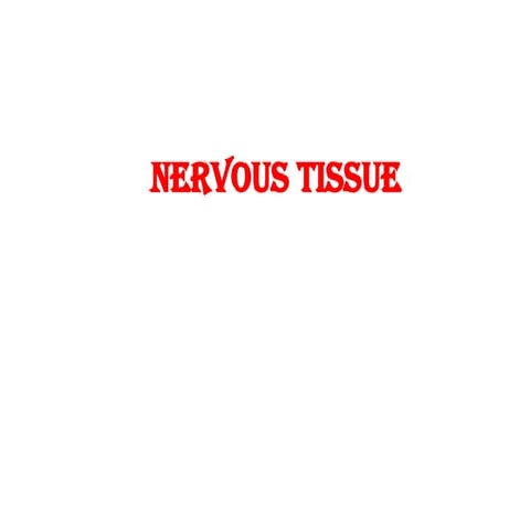 Nervous_Tissue.pptx The neuron is the morphological and functional unit ...