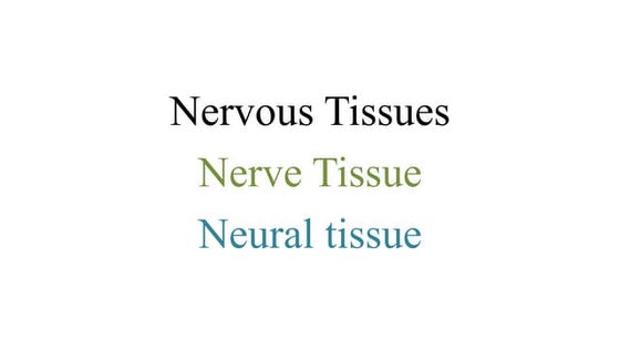 Nervous tissue (Histology) | PPTX