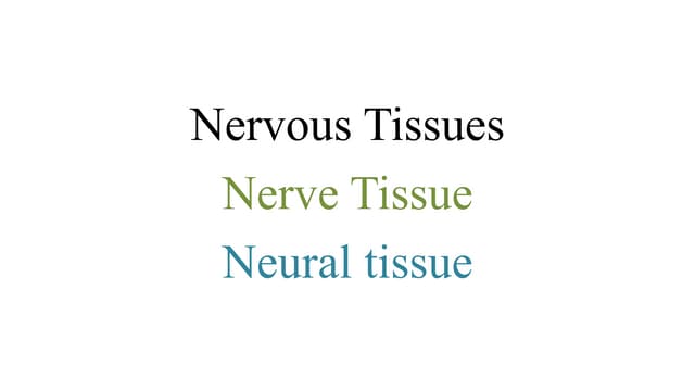 Nervous tissue (Histology) | PPTX