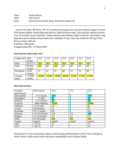 IPE STROKE INFARK_20250424_123708_0000 (1).pptx