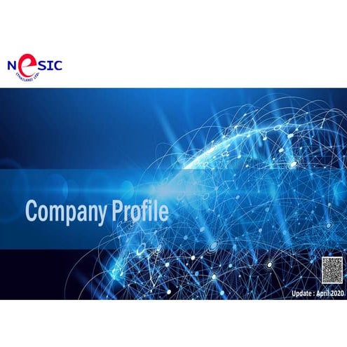 Nesic company profile 042020 | PDF
