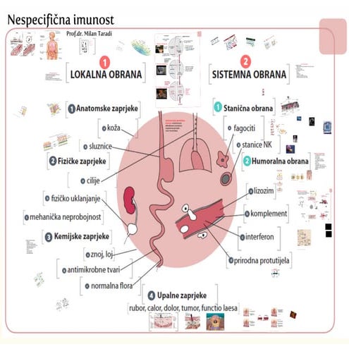 Nespecifična imunost | PDF