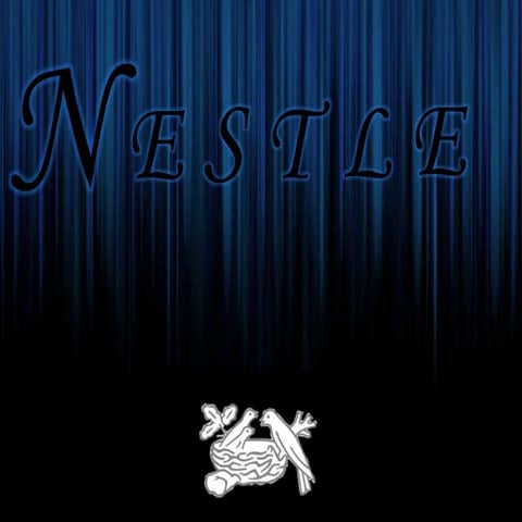 Nestle overview | PPT