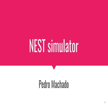 Nest simulator | PPT