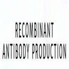 BsAb-based Pretargeting System | PDF