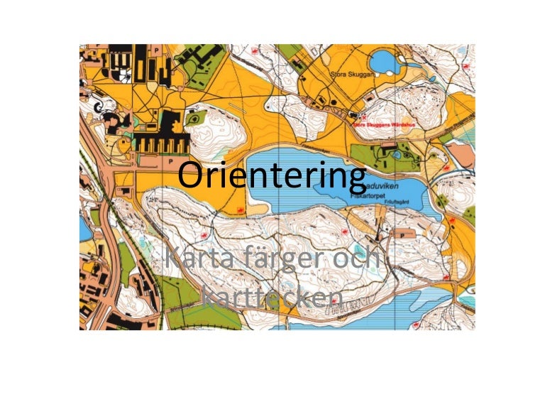 Orientering