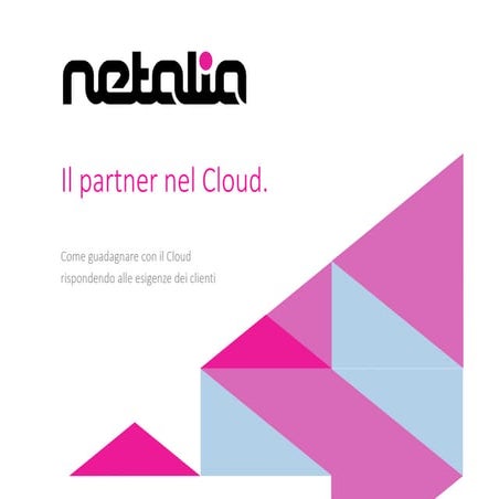 Netalia il partner_nel_cloud | PDF | Cloud Computing | Internet