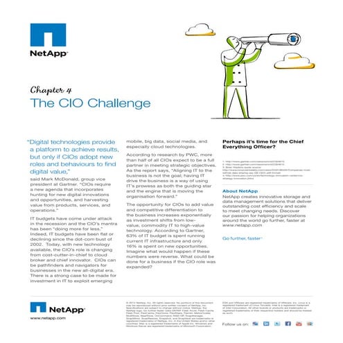 The CIO Challenge | PDF
