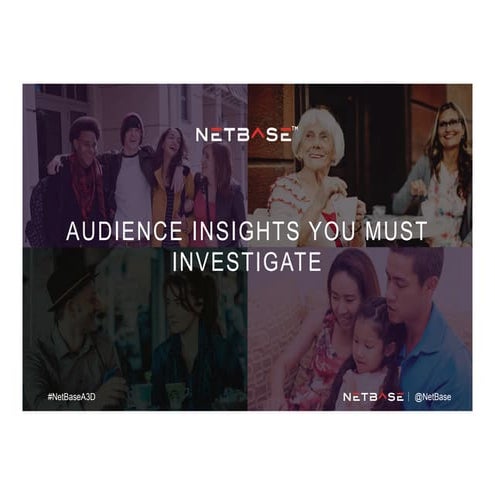Audience Insights You Must Investigate | PPT
