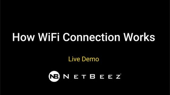NetBeez - WiFi SSID hopping | PDF