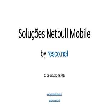 Netbull Mobile Solutions | PPT