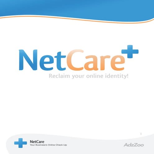 NetCare Overview | PDF