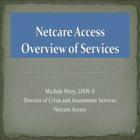 Netcare Access Overview of Services | PPT