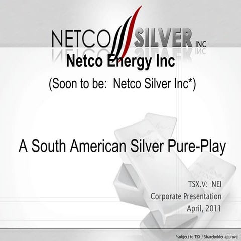 Netco Silver Presentation | PPT