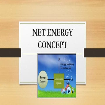 Net energy concept | PPTX