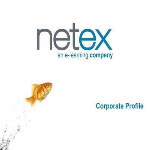 Netex corporate presentation | PPT | Technology & Computing