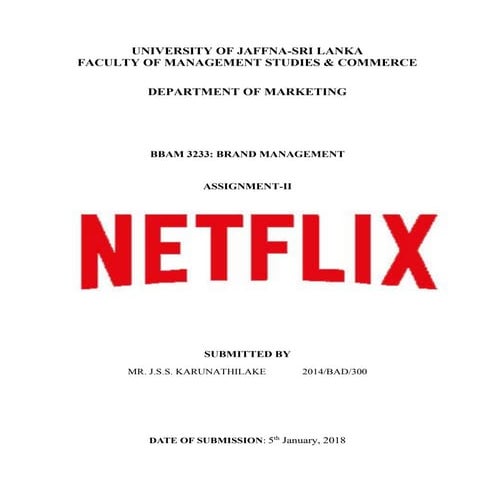 Netflix | PDF